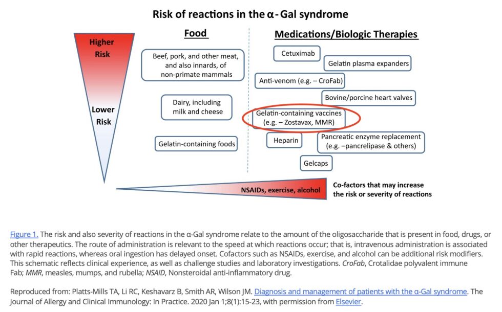 Vaccines - Alpha-gal Information: Providers