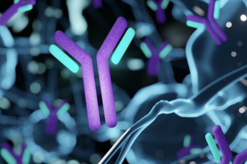 Homepage - Alpha-gal Information: Providers