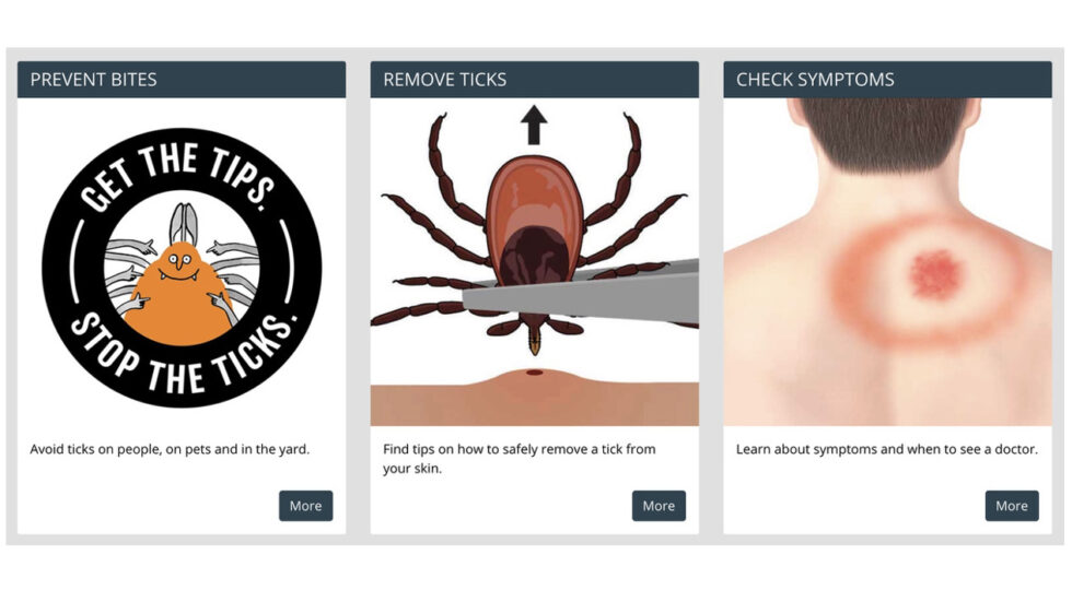 Tick Tips - Alpha-gal Information: Providers